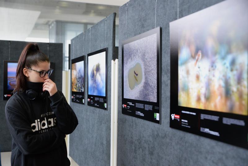 Az év természetfotósa 2022 - kiállításmegnyitó a VMKK-ban | Galéria ...