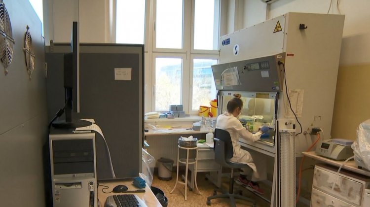 Így zajlik a laborban a munka – Nézze meg Ön is a laborban készült ...